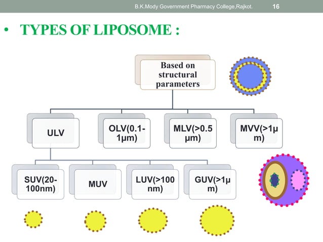 Vesicular drug delivery system | PPTX | Pharmaceutical Drugs | Medical ...