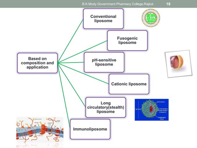 Vesicular drug delivery system | PPTX | Pharmaceutical Drugs | Medical ...