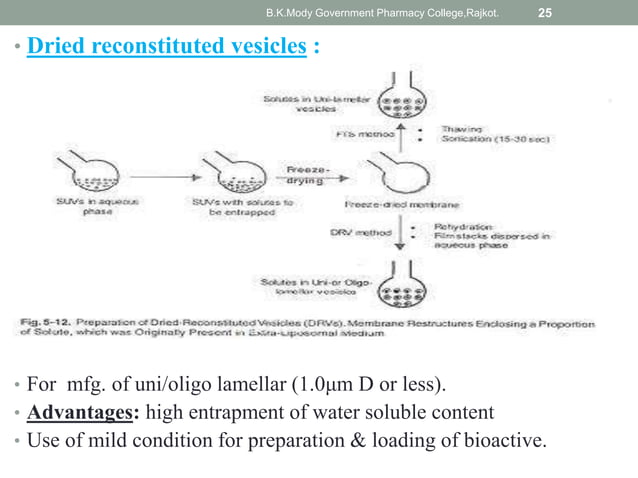 Vesicular drug delivery system | PPTX | Pharmaceutical Drugs | Medical ...