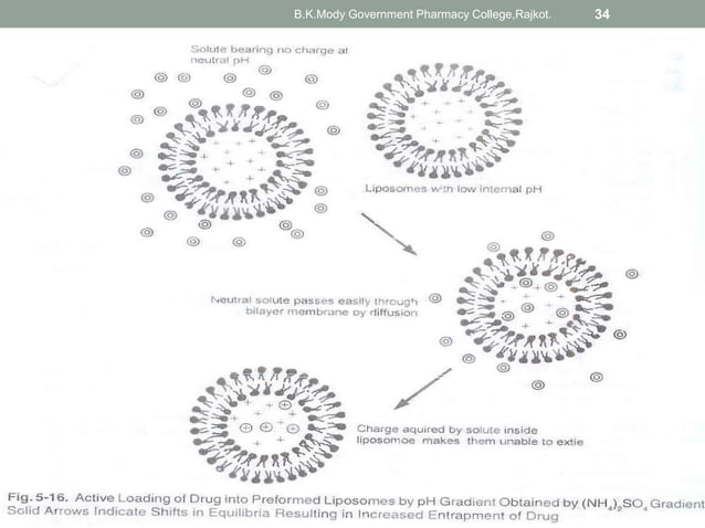 Vesicular drug delivery system | PPTX | Pharmaceutical Drugs | Medical ...