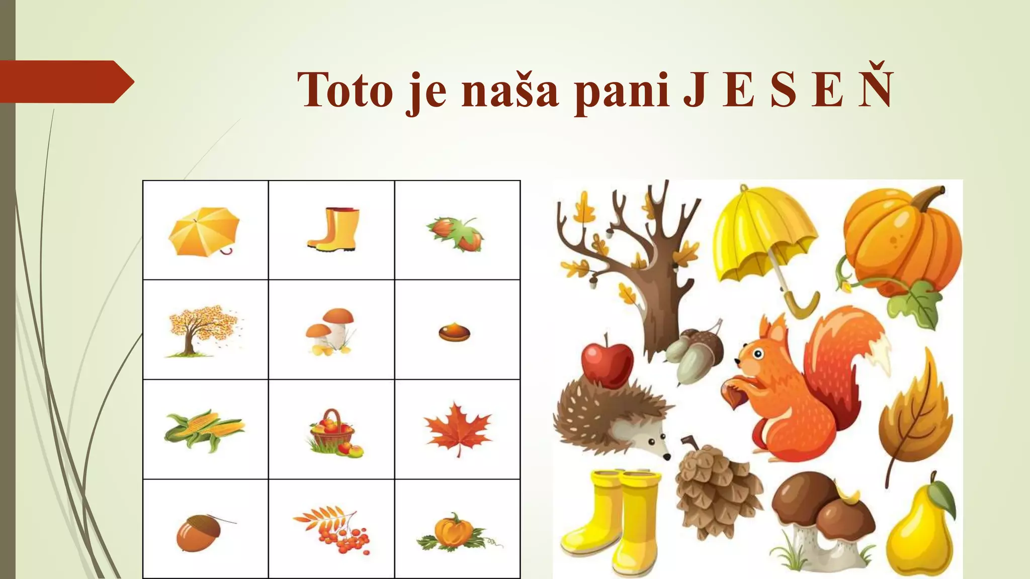Jeseň poznávaj stromy | PPT