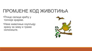 Jesen prezentacija | PPT
