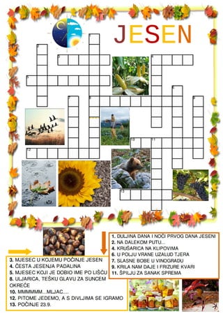 Jesen krizaljka | DOC