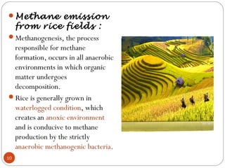 global warming | PPT