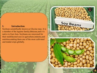 (soybean) Report.glycrrine max morphology.pptx