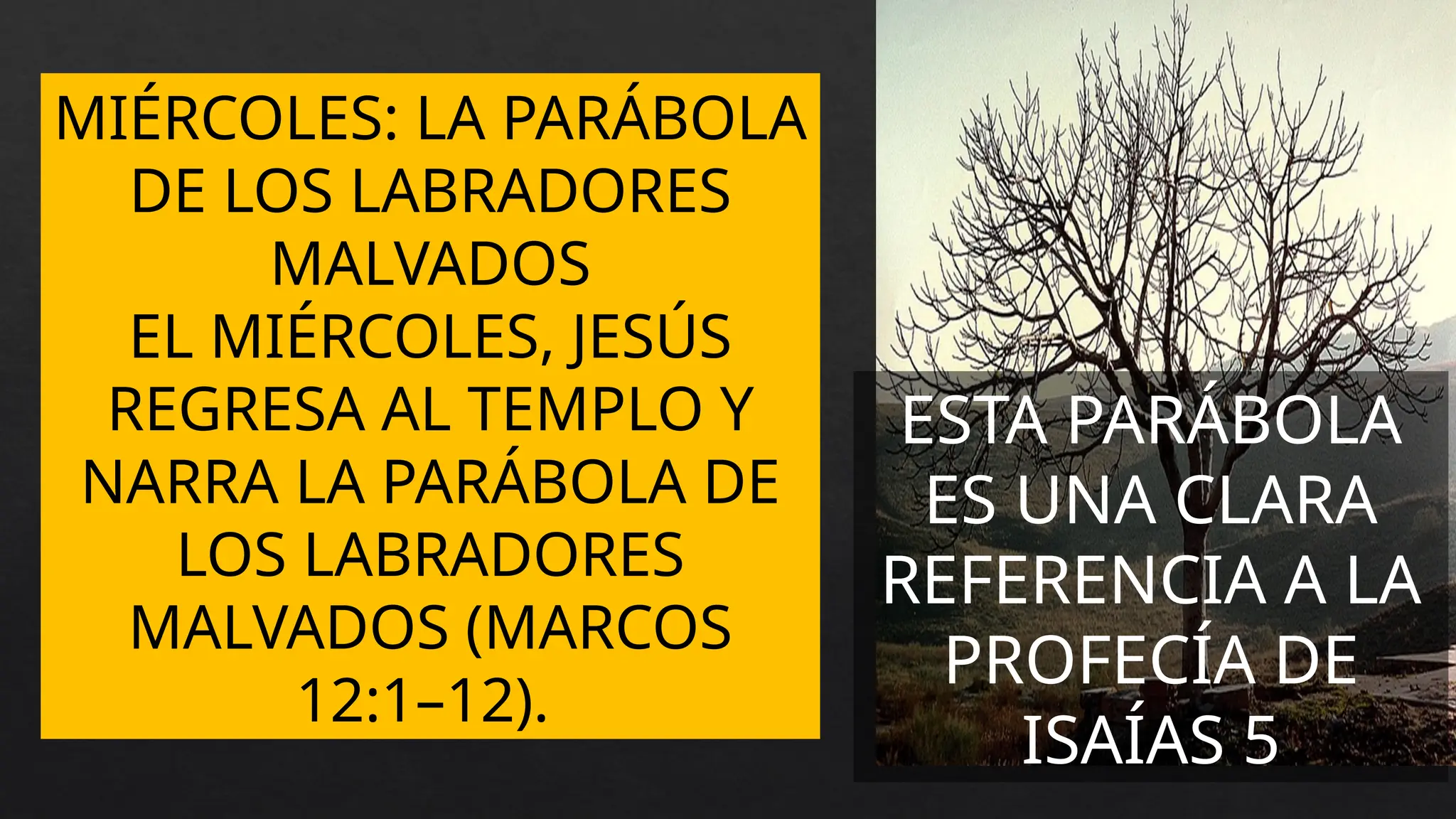 Jesús Camino Al Golgota La Higuera Seca Parte 6.pptx