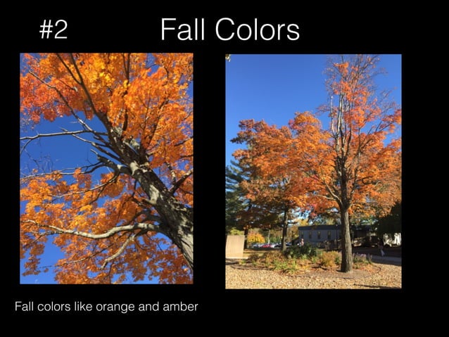 Top 10 Favorite Things About Fall | PPT