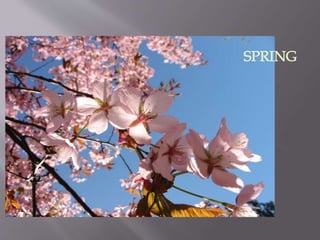 The Four Seasons | PPSX | Weather | Science