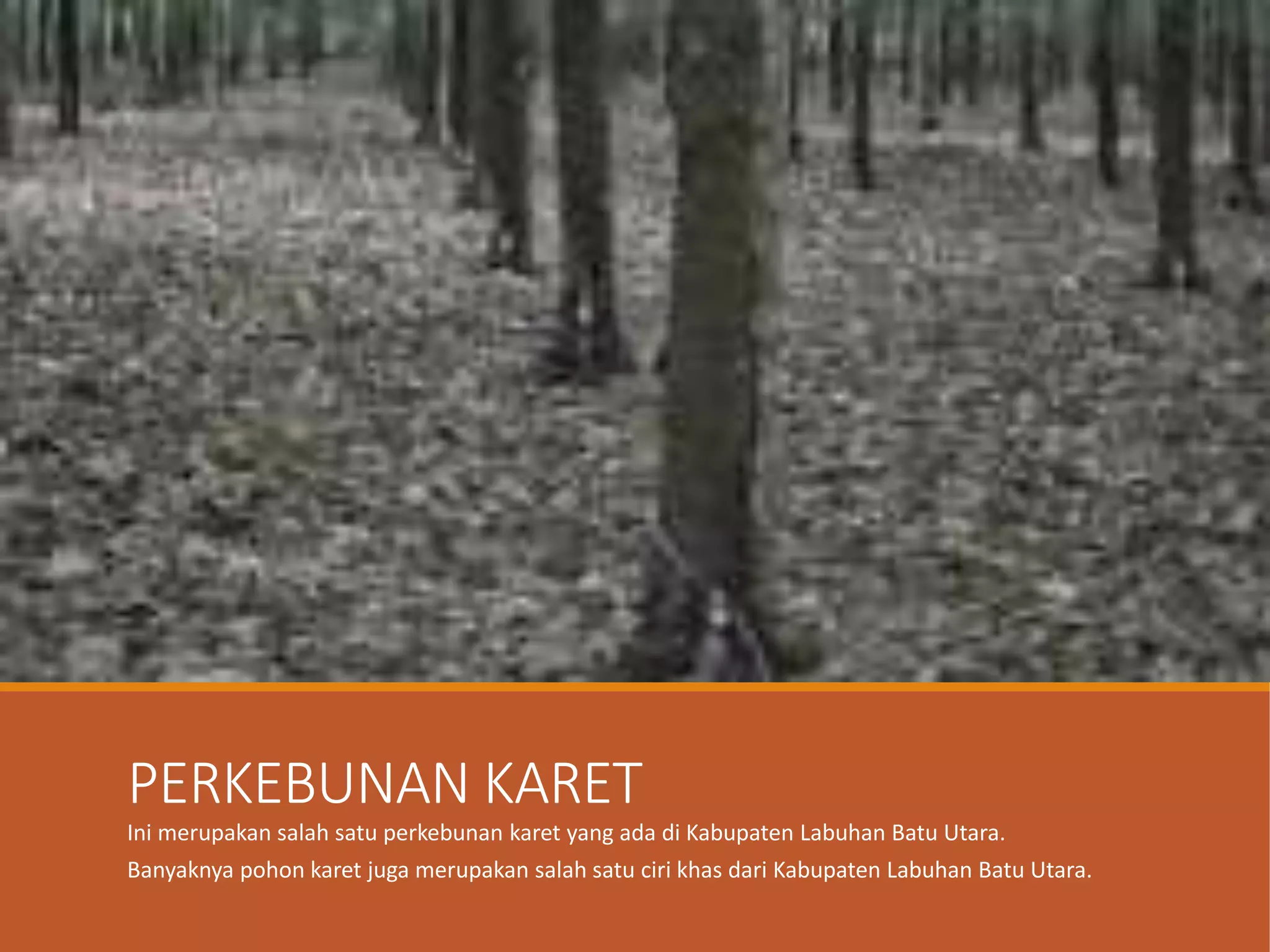 Aspek Geografi Aekkanopan, Labuhan Batu Utara | PPT