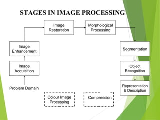 jessica ty Digital image processing.pptx