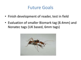 Novel Tagging Methods in Pinto Abalone | PPT