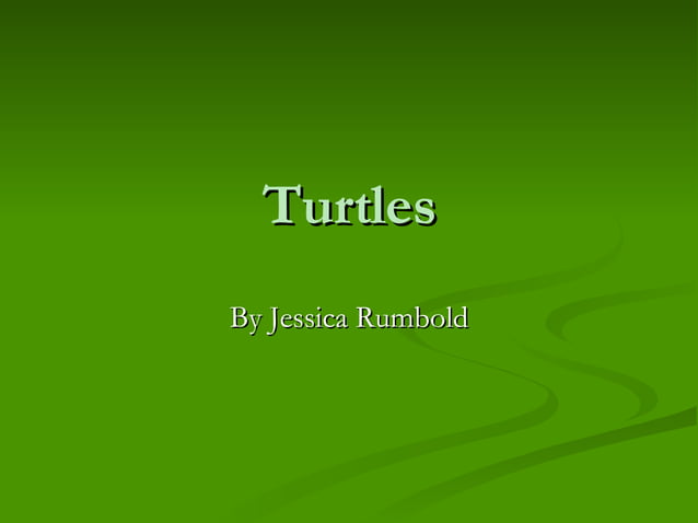 Turtle Powerpoint! | PPT | Reptiles | Pets