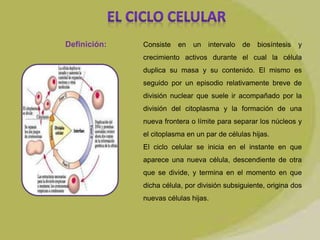 Jessica zambrano la reproduccion celular | PPTX