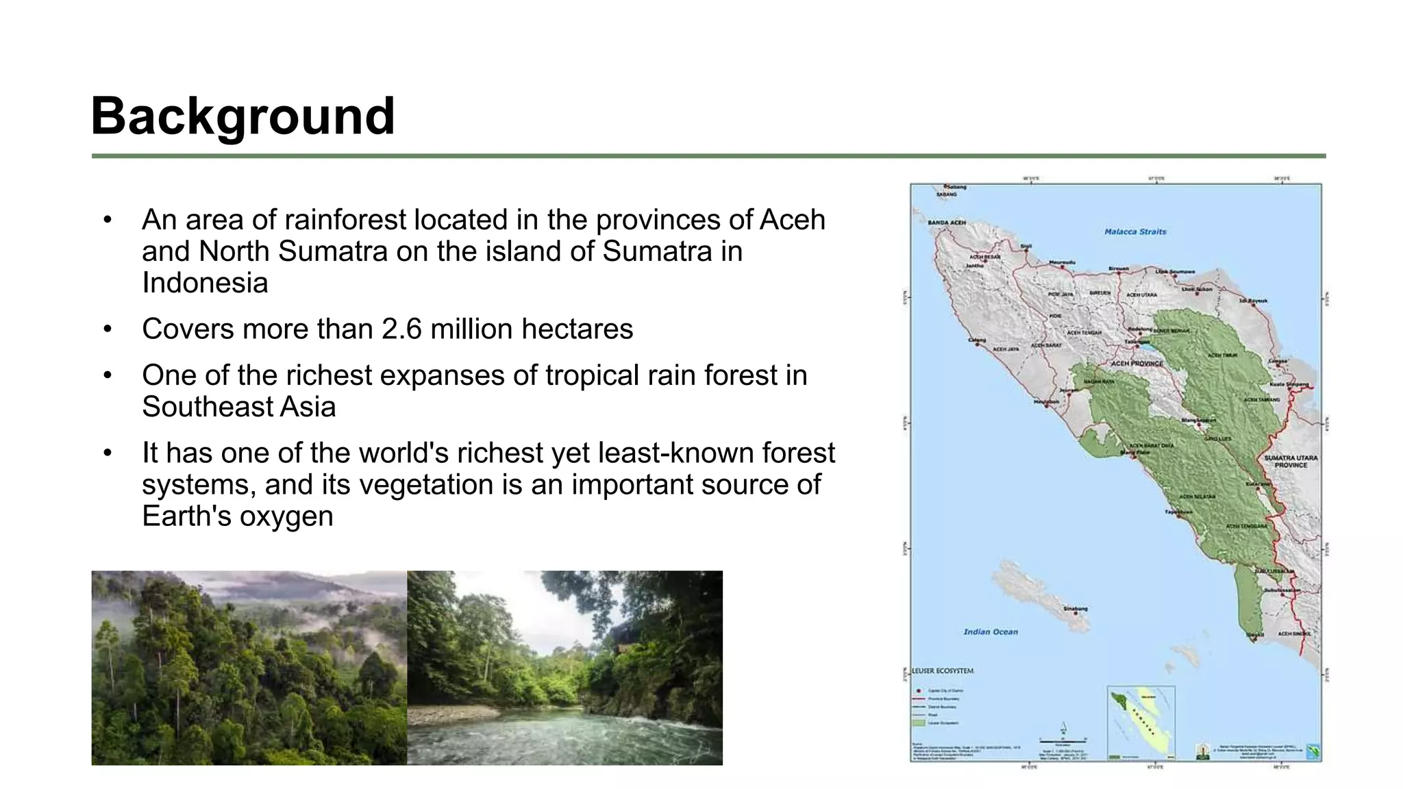 Leuser ecosystem | PPTX