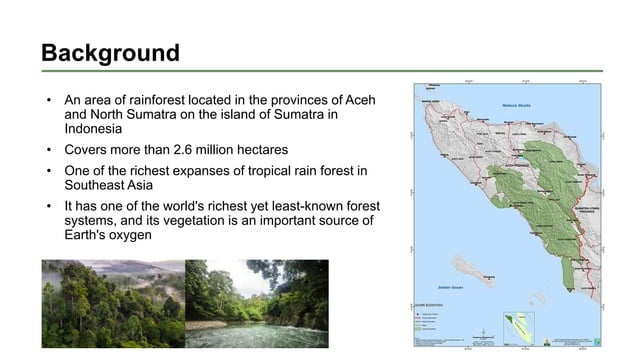 Leuser ecosystem | PPTX