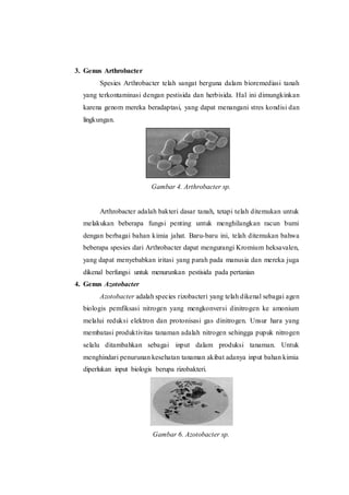 bioteknologi di bidang lingkungan | DOCX