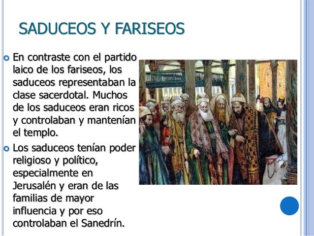 Saduceos