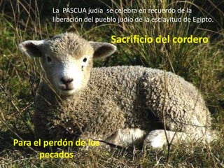 Jesus restaura nuestra vida | PPSX