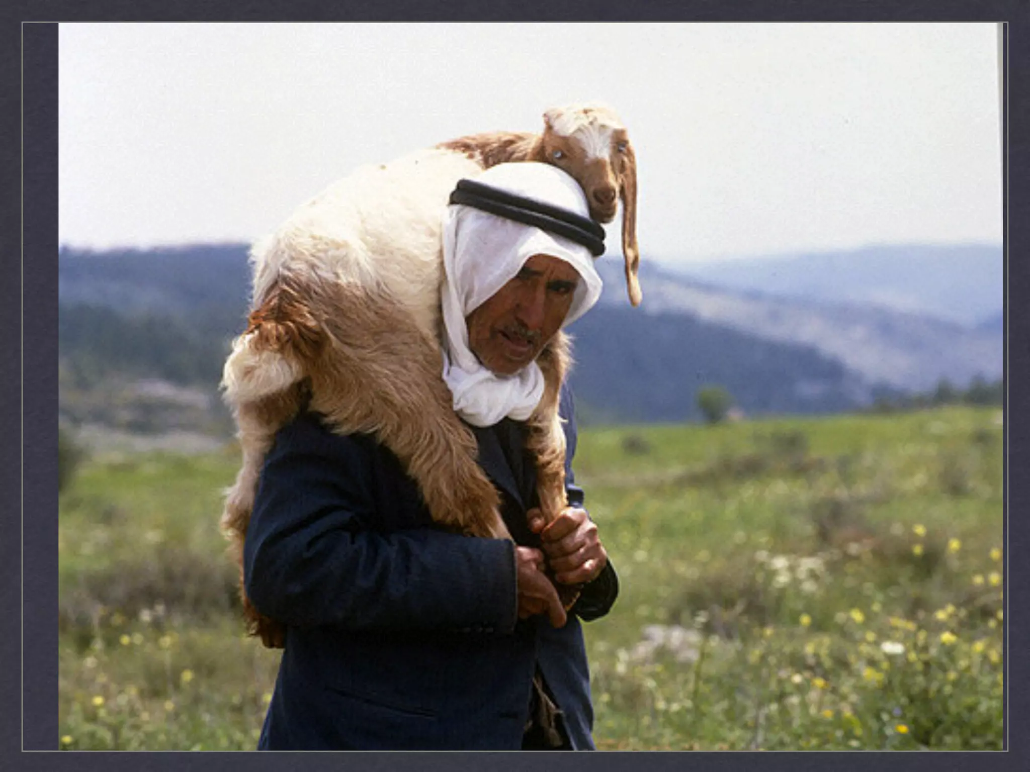 Jesus the Liberator | PDF