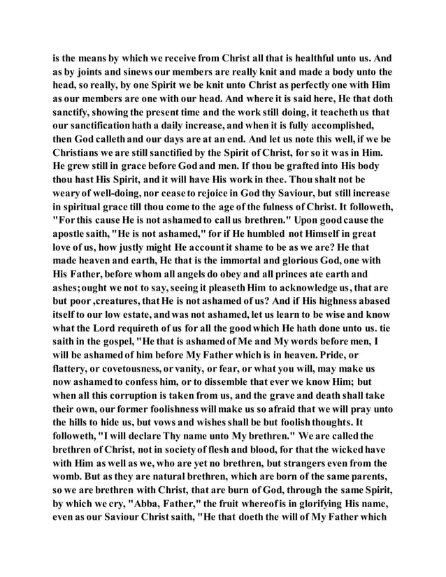Jesus was and is our brother | PDF