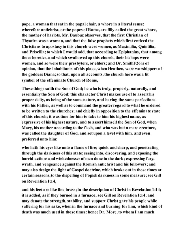 Jesus was like blazing fire in his eyes | PDF