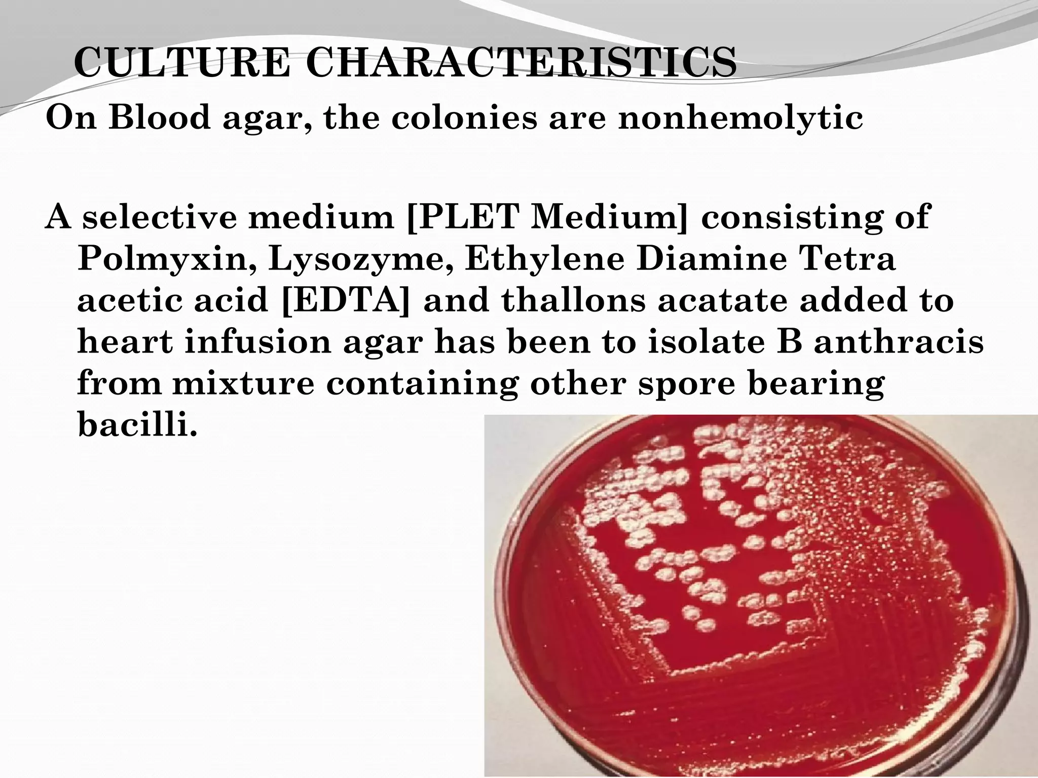 bacillus anthracis [ anthrax ] | PDF | Infectious Diseases | Diseases ...