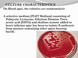 bacillus anthracis [ anthrax ] | PDF | Infectious Diseases | Diseases ...