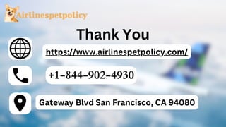 JetBlue Unaccompanied Minor Policy.pdf