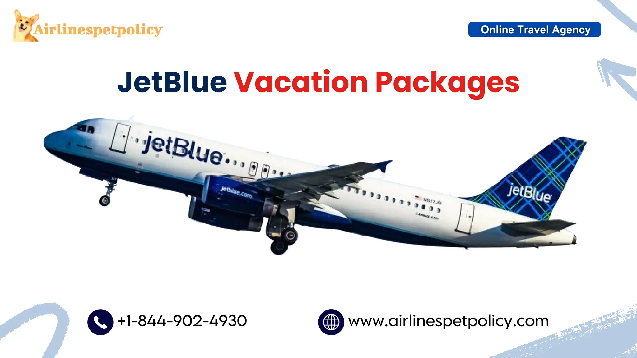 What are JetBlue Vacation Packages? | PDF