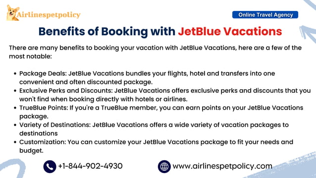 What are JetBlue Vacation Packages? | PPT