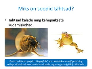 Jõe teekond lähtest suudmeni | PPTX