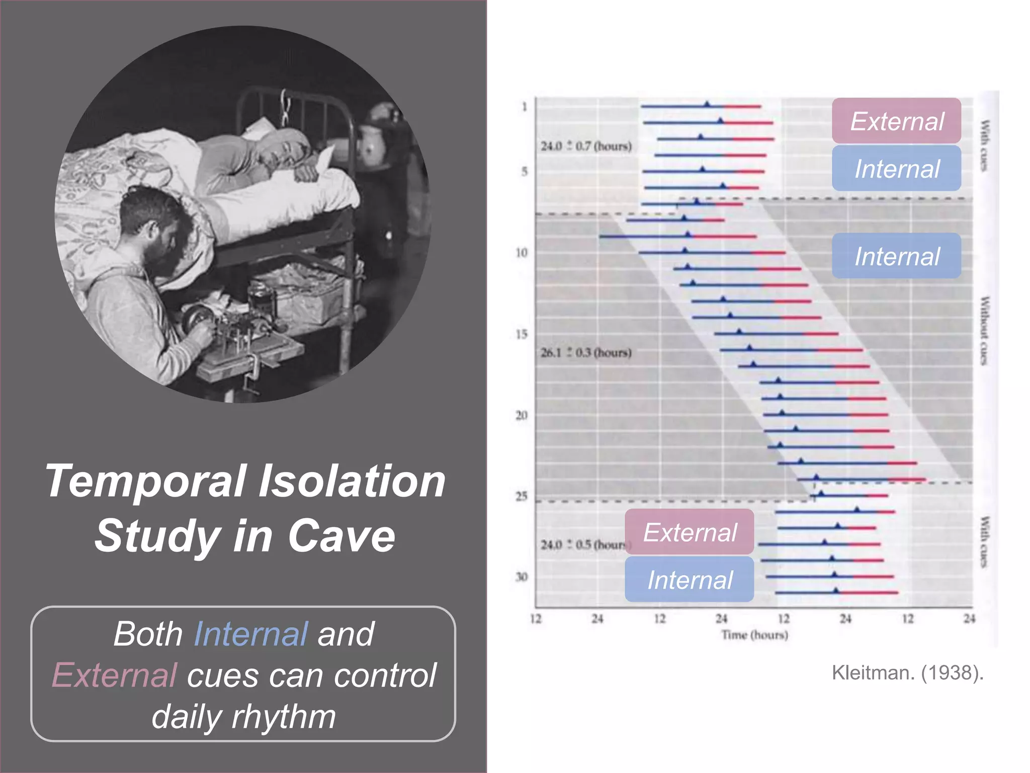 Circadian Rhythm And Jet Lag Ppt