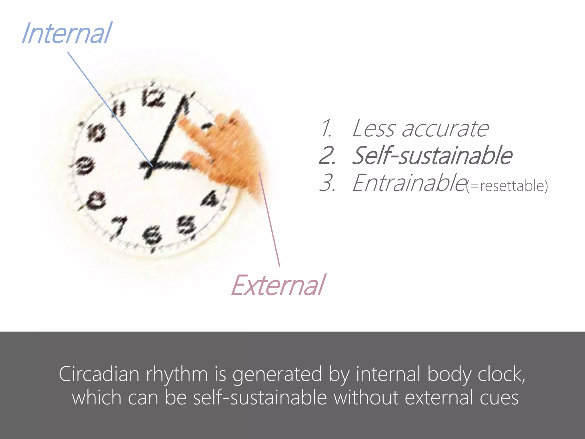 Circadian Rhythm & Jet lag | PPT
