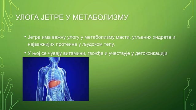 Јетра - Н. Марчетић | PPT