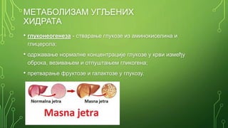 Јетра - Н. Марчетић | PPT