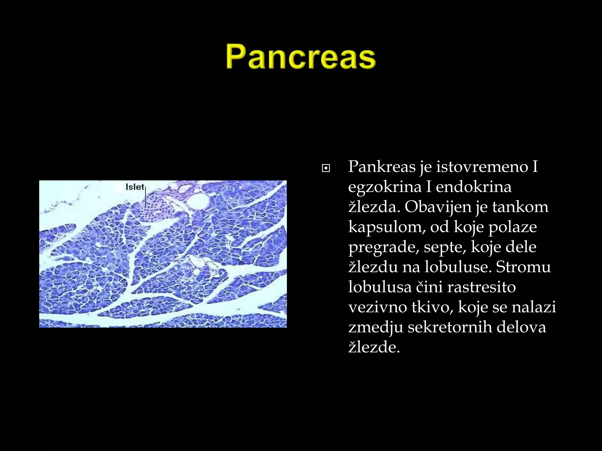Histologija jetre i pankreasa | PPTX