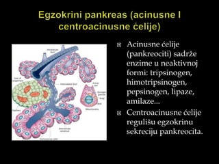 Histologija jetre i pankreasa | PPTX