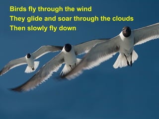 Jetson's haiku poems | PPT