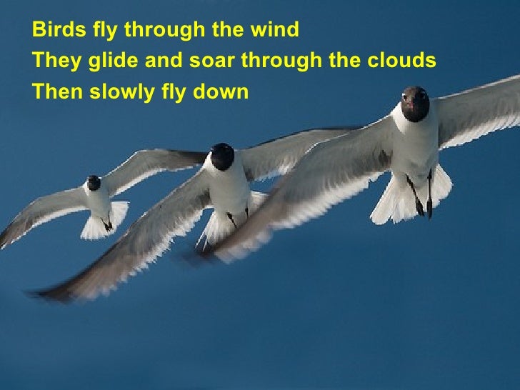 Jetson's haiku poems