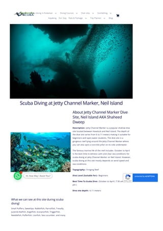 Explore Jetty Channel Marker Dive Site in Neil Island | PDF