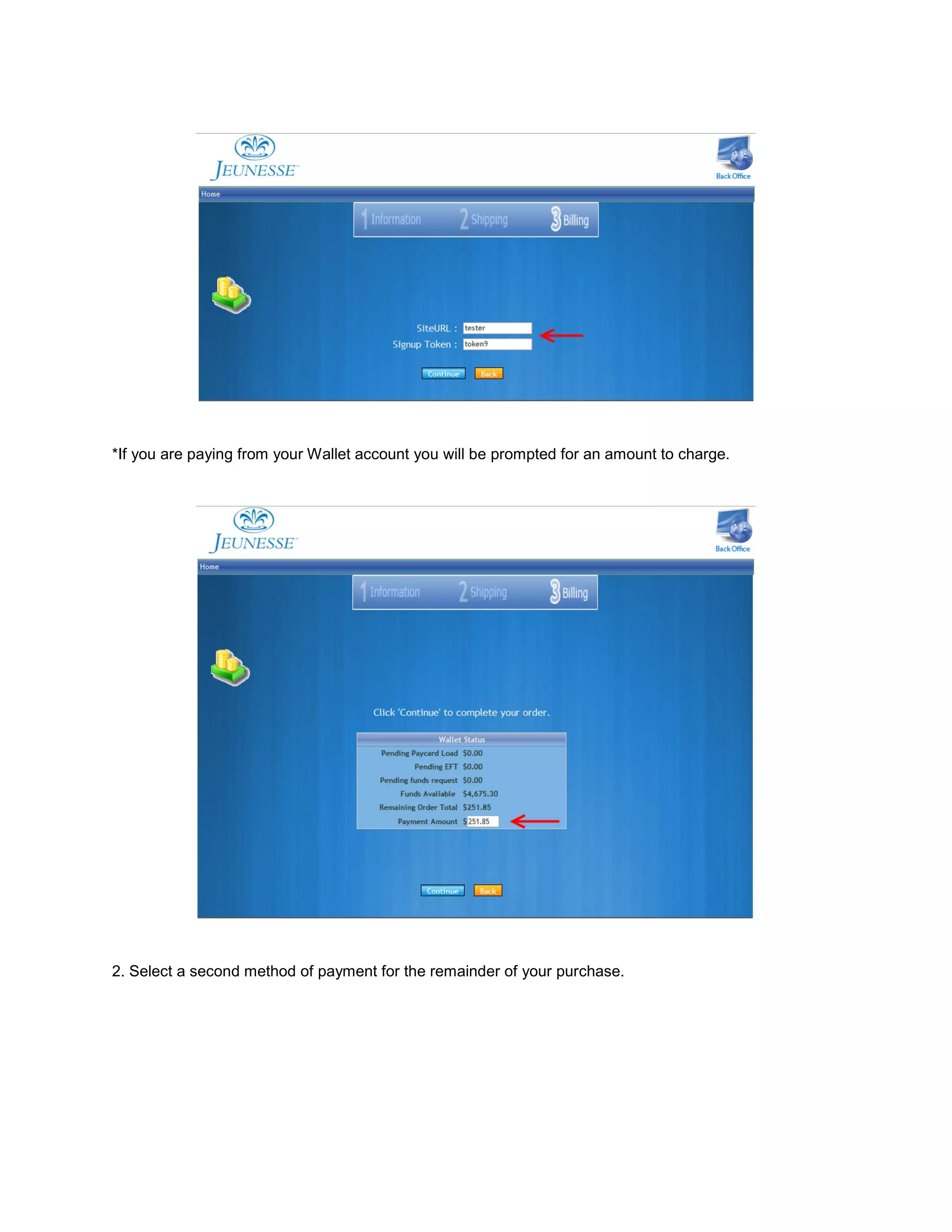 Jeunesse paymentmethodsfinal | PDF