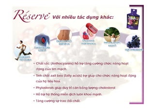 Jeunesse ppt(vietnamese) | PPT