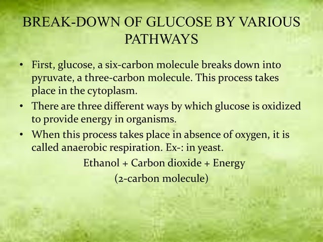 Respiration by sneha | PPT