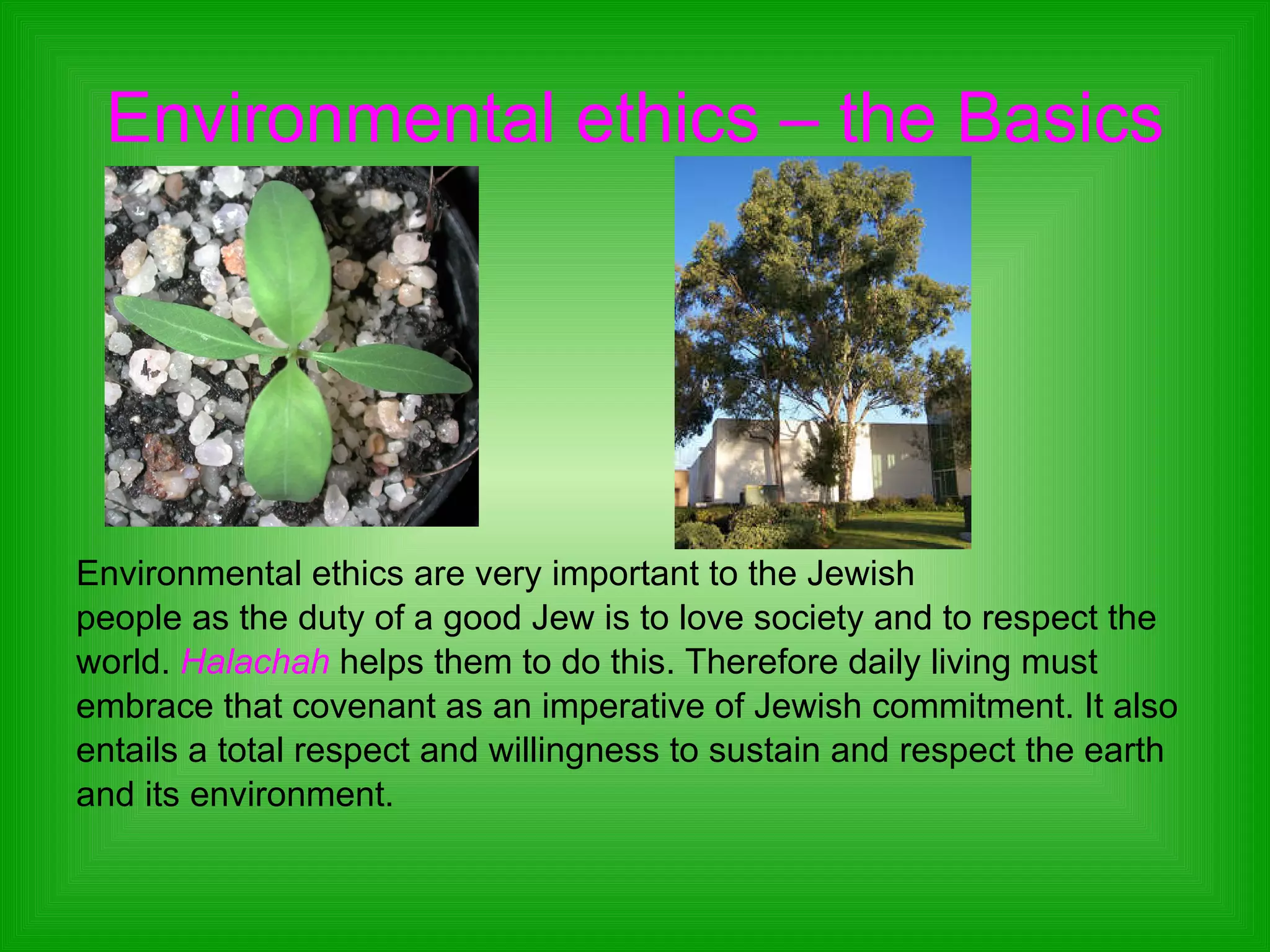 Jewish Environmental Ethics | PPT