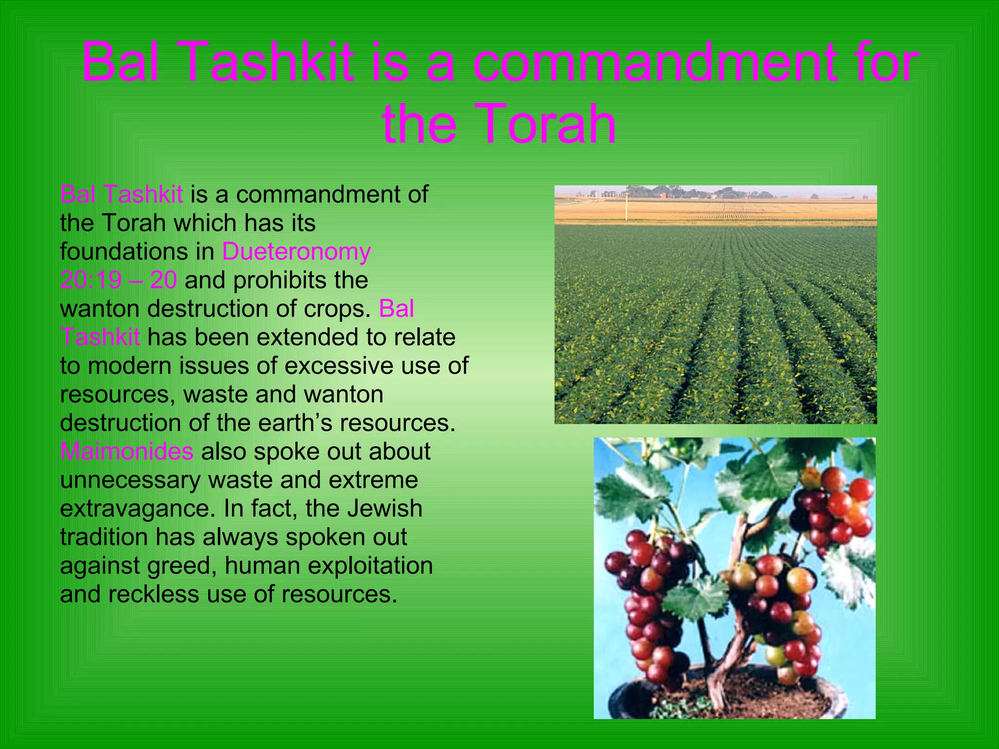 Jewish Environmental Ethics | PPT