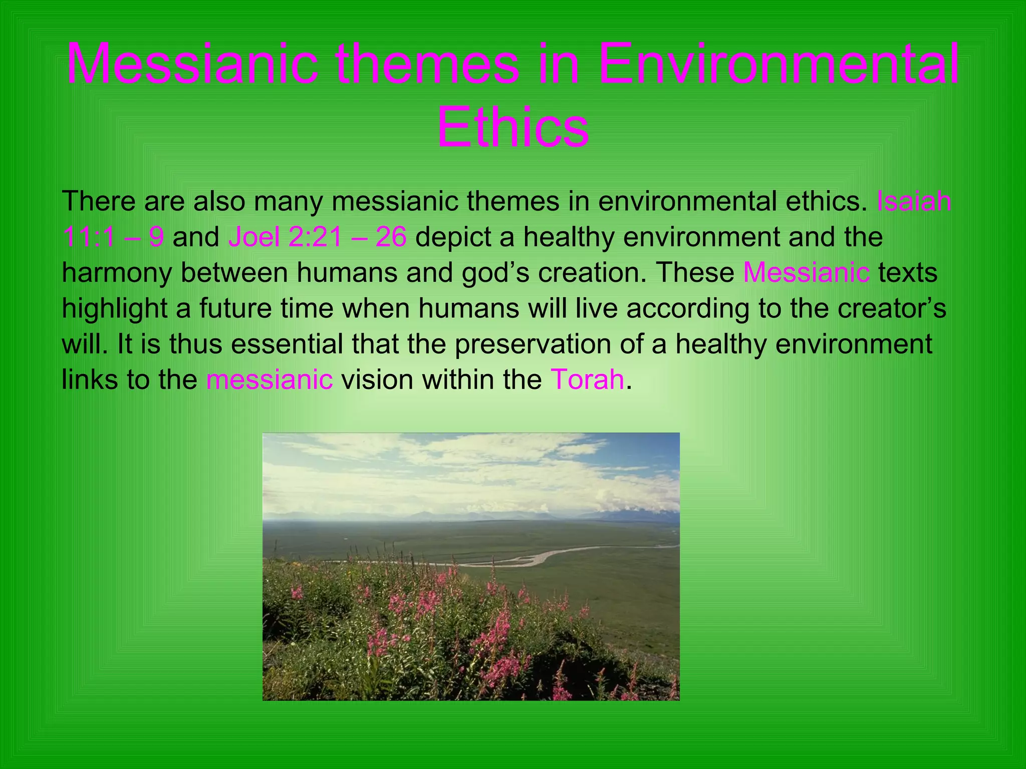 Jewish Environmental Ethics | PPT