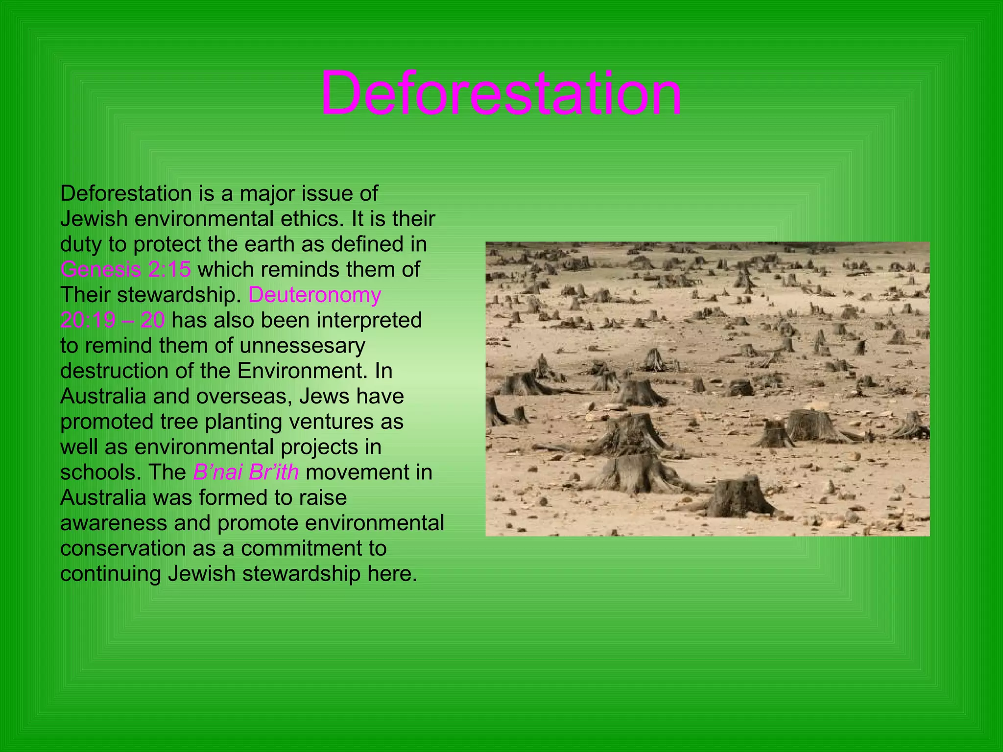 Jewish Environmental Ethics | PPT
