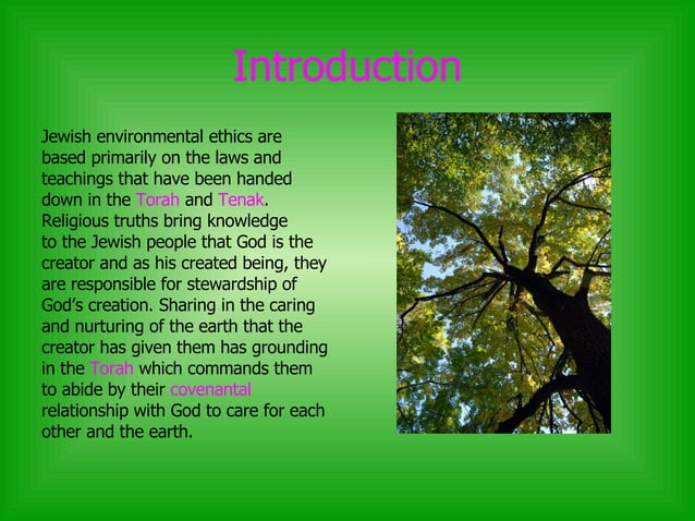 Jewish Environmental Ethics | PPT