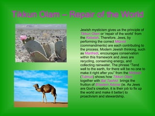 Jewish Environmental Ethics | PPT
