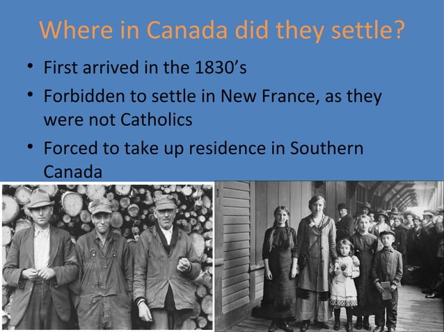 Jewish Immigration Project | PPT